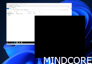 Prevent sensitive information from being captured on Windows 365 CPCs ...