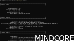 Modern Server Management - Azure Arc RDP with Entra ID Authentication - Mindcore Techblog